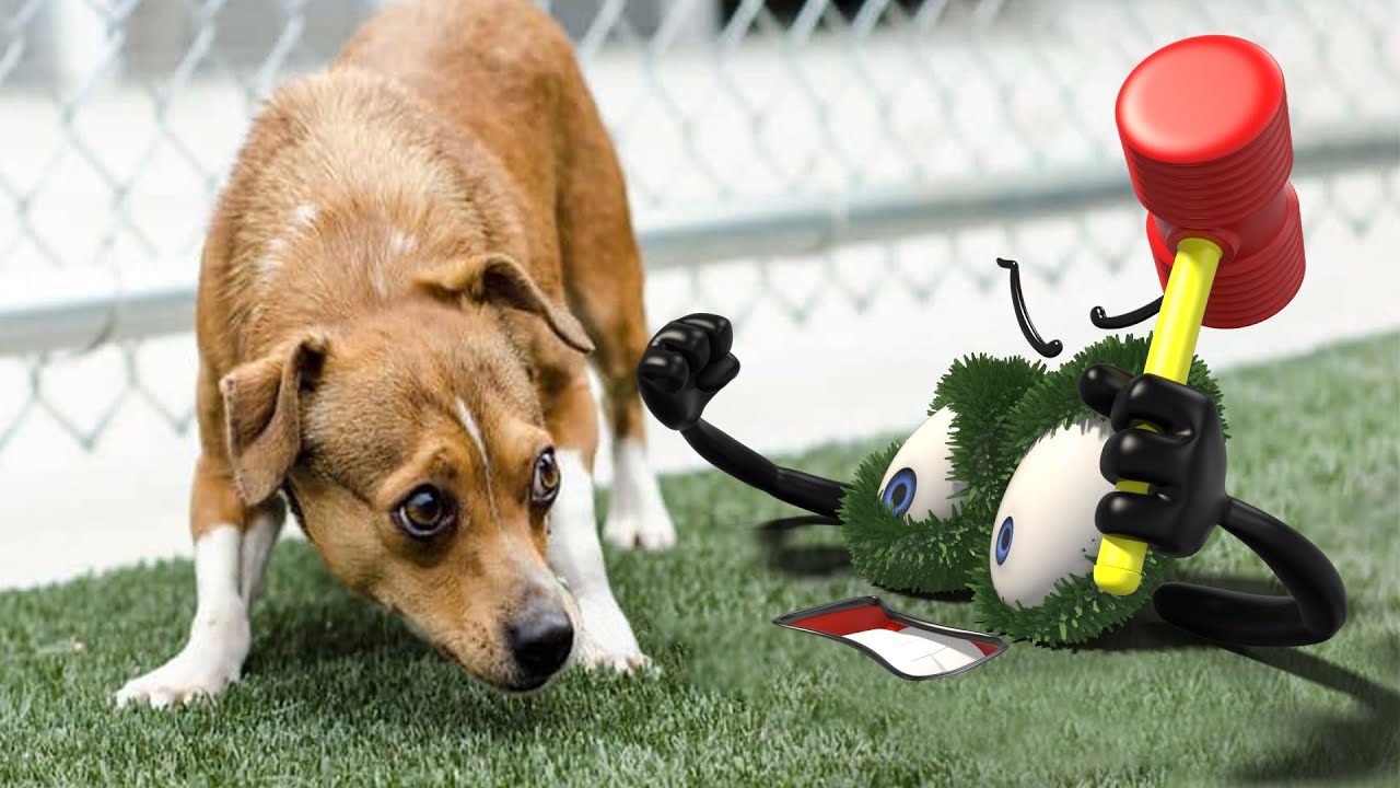 Secret Life of Things - Real Life Doodles Compilation | 3D Doodland #13 ...