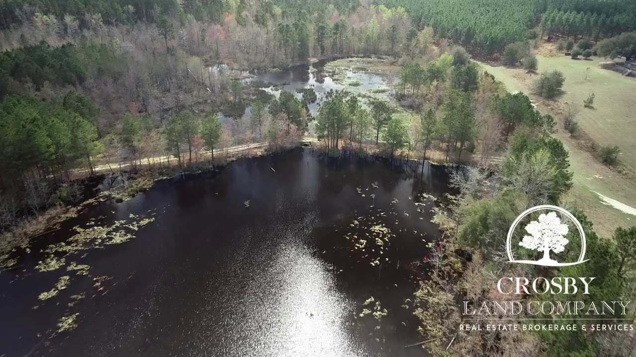 Rock Branch Preserve Video - YouTube