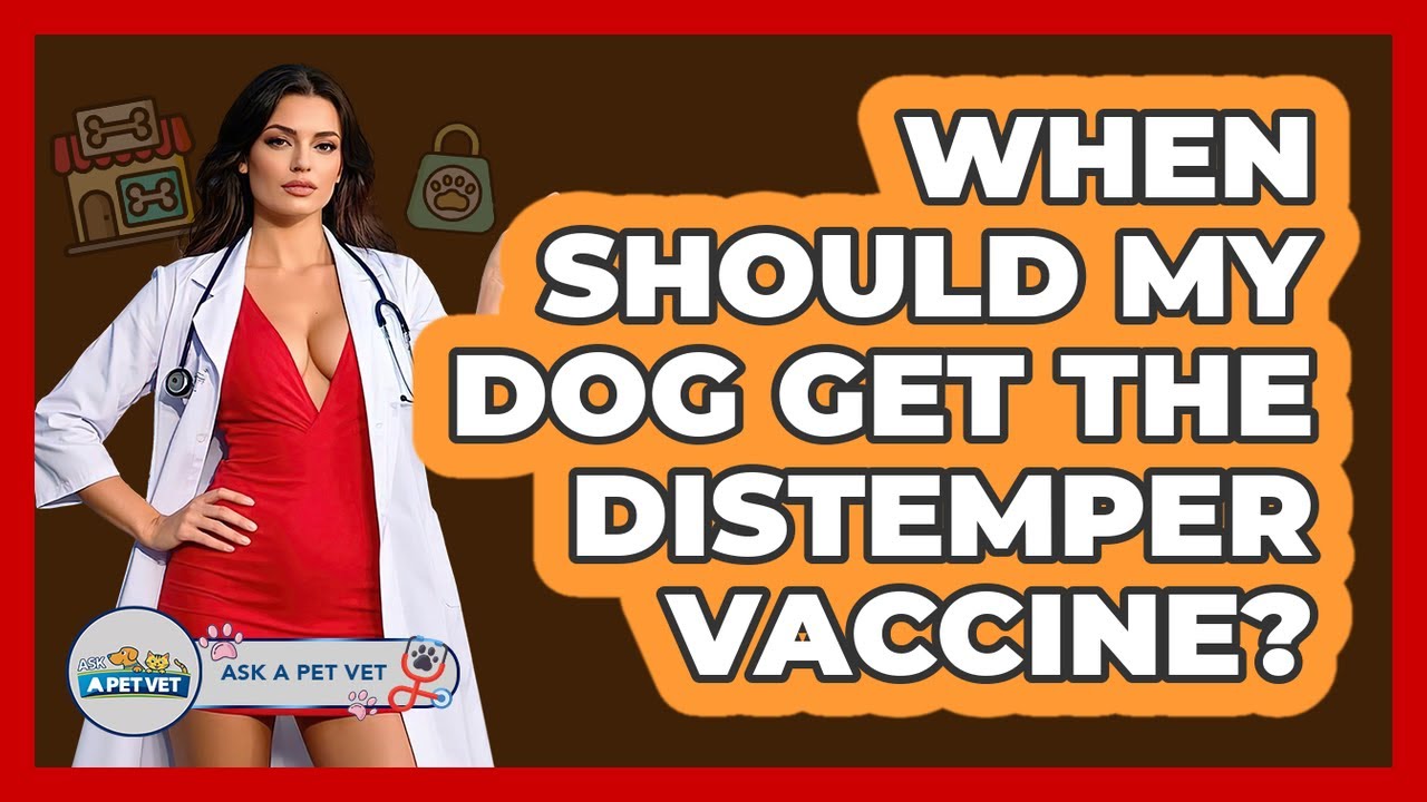 When Should My Dog Get The Distemper Vaccine? - Ask A Pet Vet - YouTube