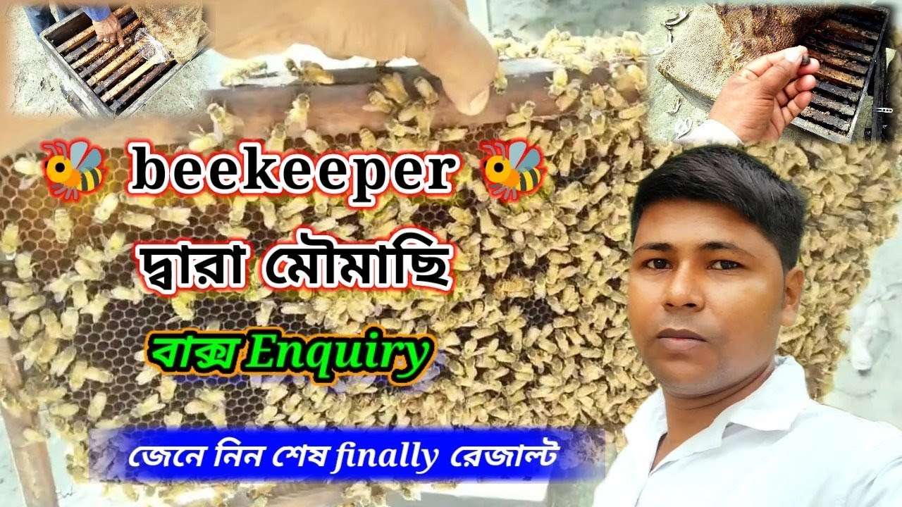 মৌমাছির বাক্স checking beekeeper দ্বারা । bee checking, checking bee hives in winter. - YouTube