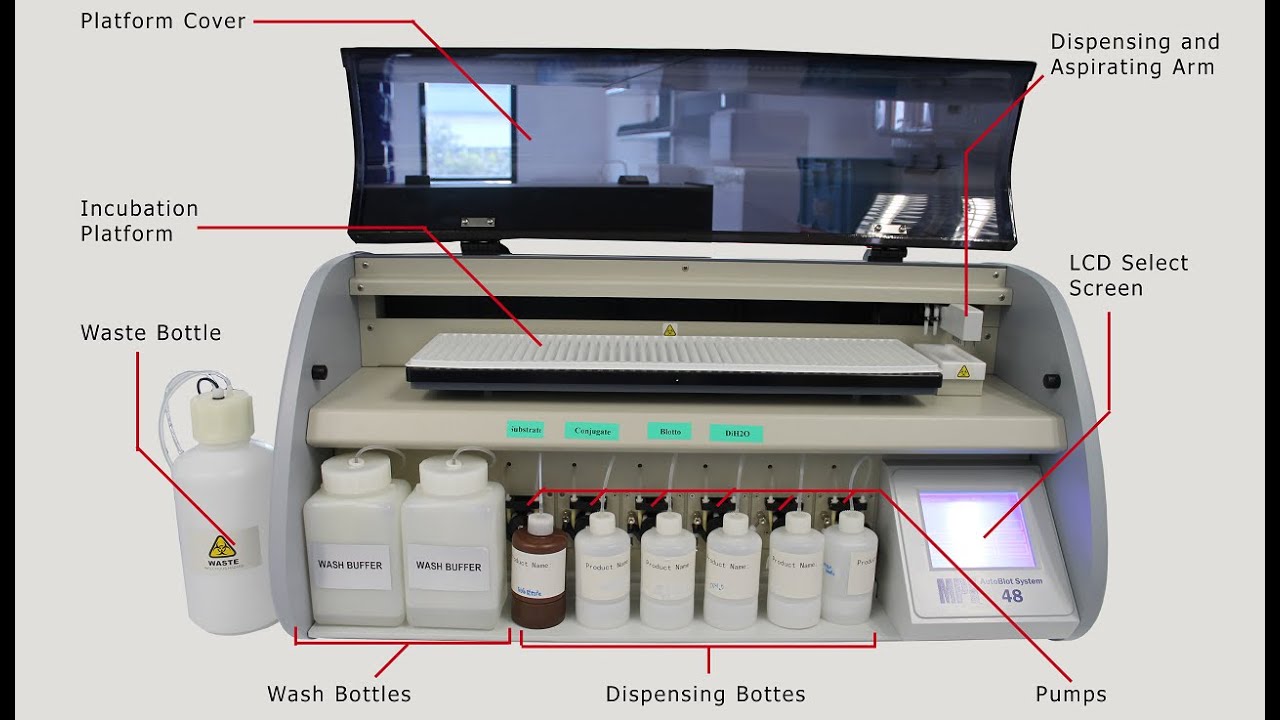 AutoBlot System 48 Instructional video for end users [MP Biomedicals ...