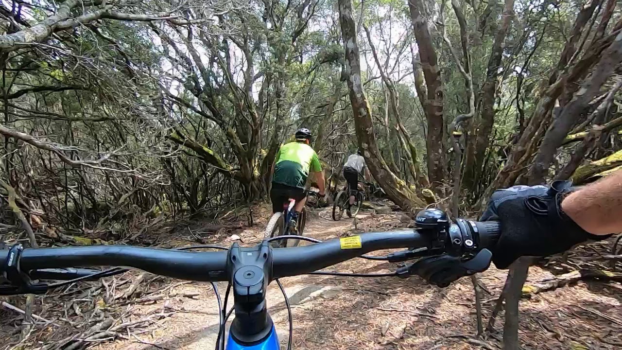 MTB Blue Tier + Atlas Trails - Derby, Tasmania - YouTube