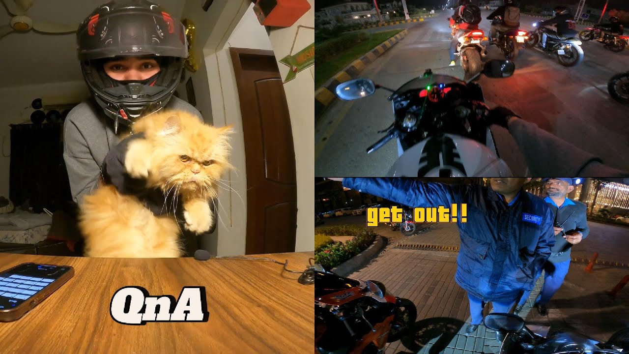 QnA (ft. cats) + SQUAD CRUISING - YouTube