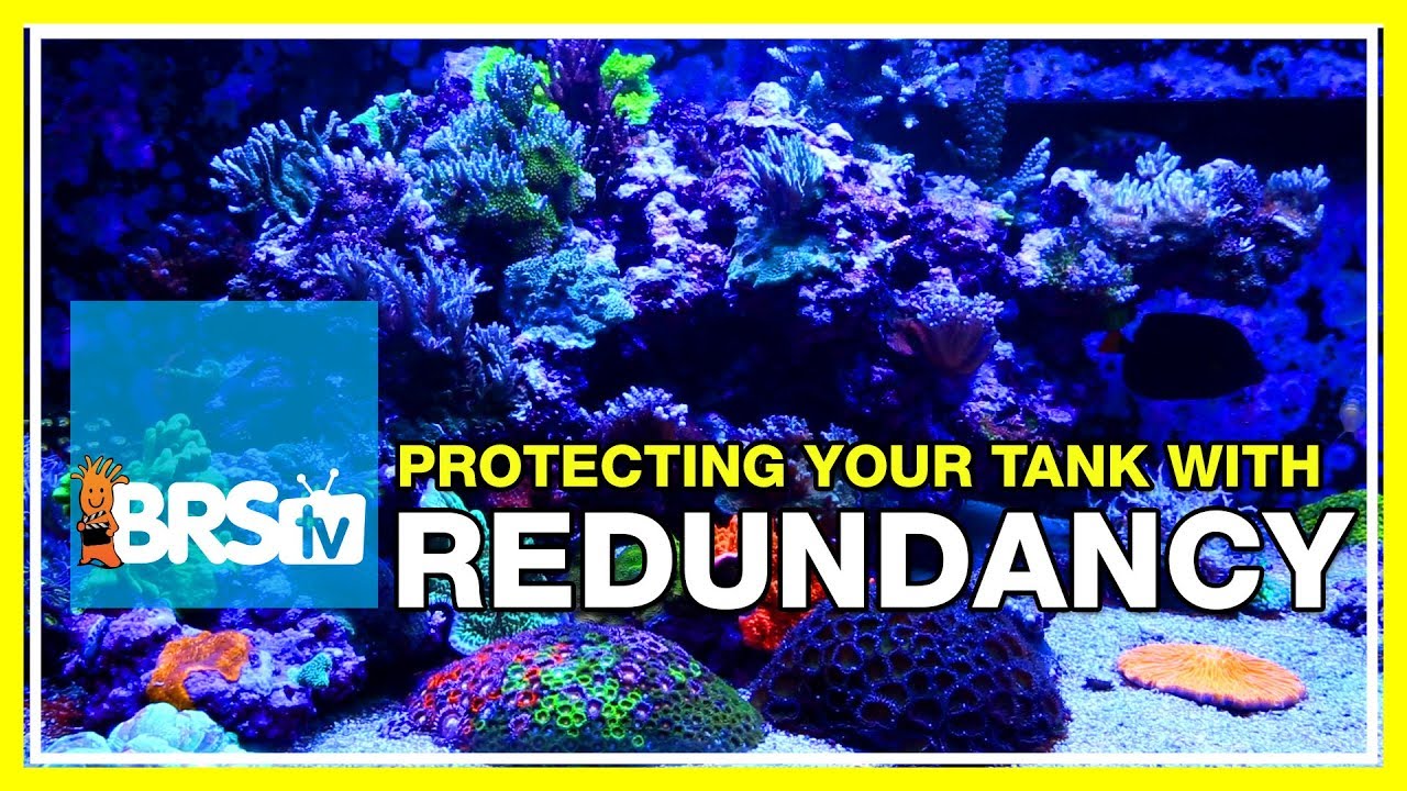 Week 4 Planning A Safer Tank With Redundancy 52 Weeks Of Reefing week-4-planning-a-safer-tank-with-redundancy-52-weeks-of-reefing