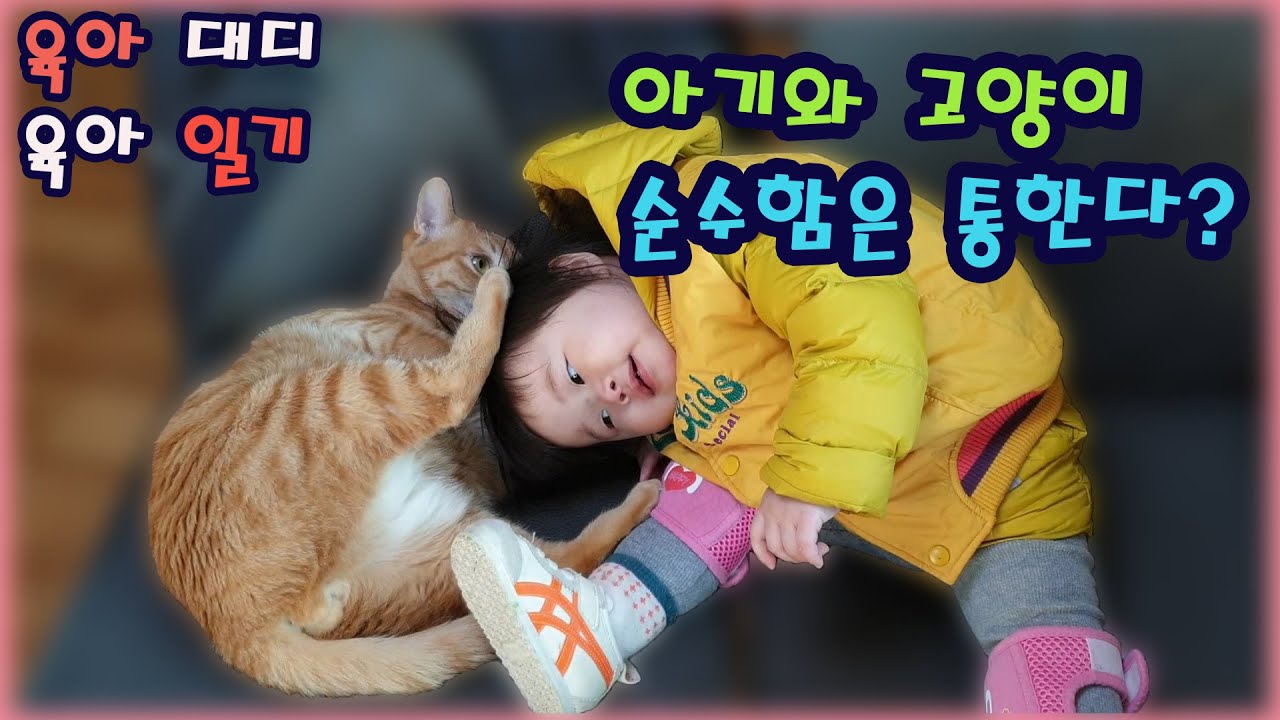 육아 일기 아기와 고양이 뱅갈 코숏 고양이가 14개월 아기를 만나면 도도한 고양이와 돌직구 아기집사의 만남 Youtube