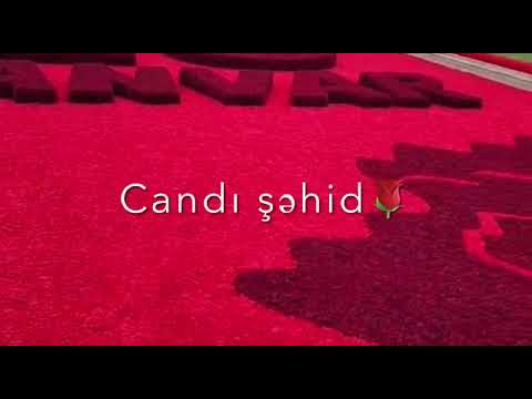 🖤🥀..Whatsapp ucun qəmli, MƏNALI statuslar, status ucun videolar, QEMLİ WHATSAPP STATUSLARI 2022