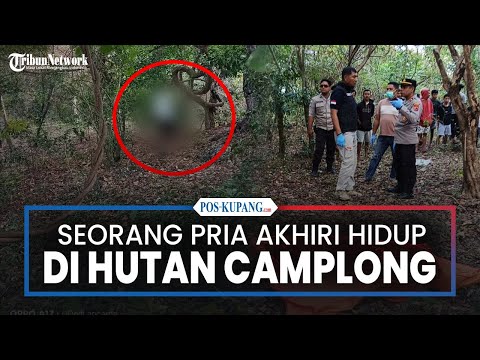 Seorang Pria Akhiri Hidup di Hutan Camplong Kupang