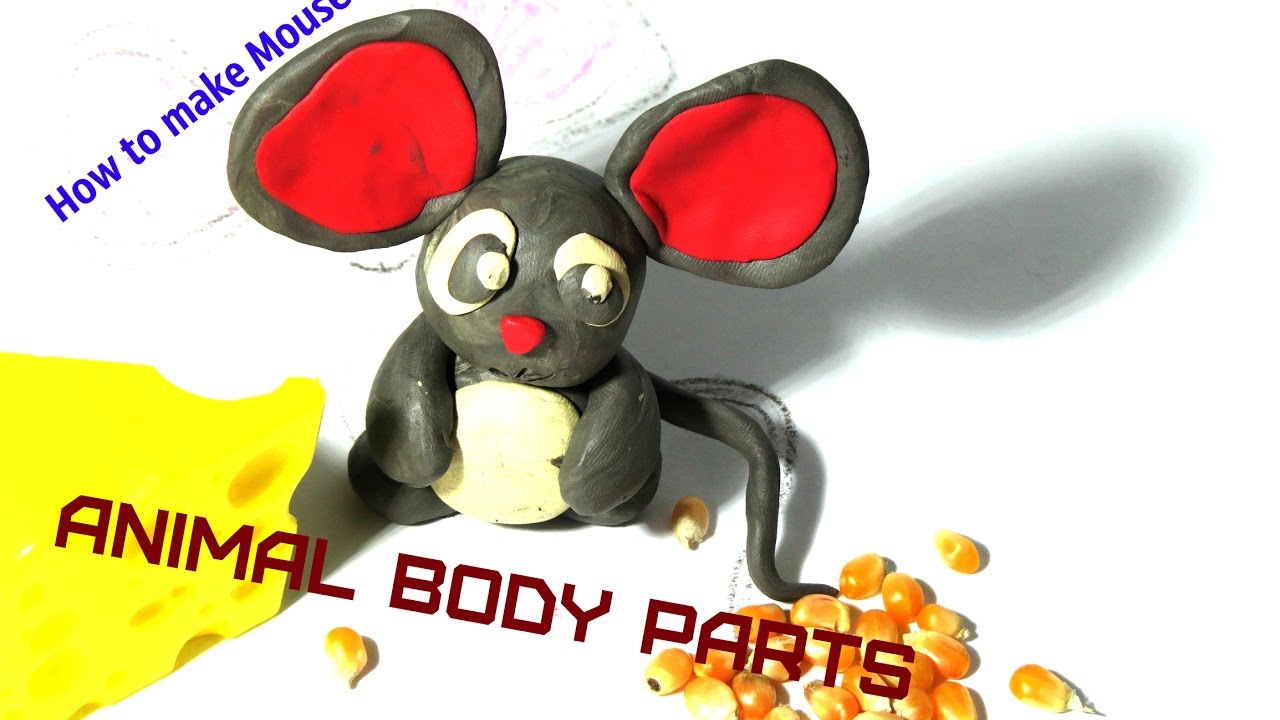 Mouse. Animal body parts. Mouse house. Sculpt mouse. Draw mouse. Mouse ...