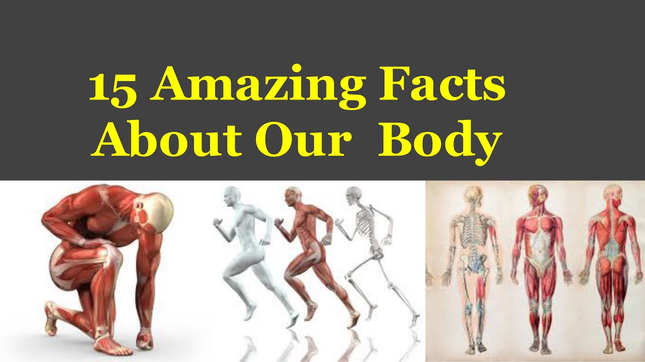 15 Amazing Facts About Our Body - YouTube