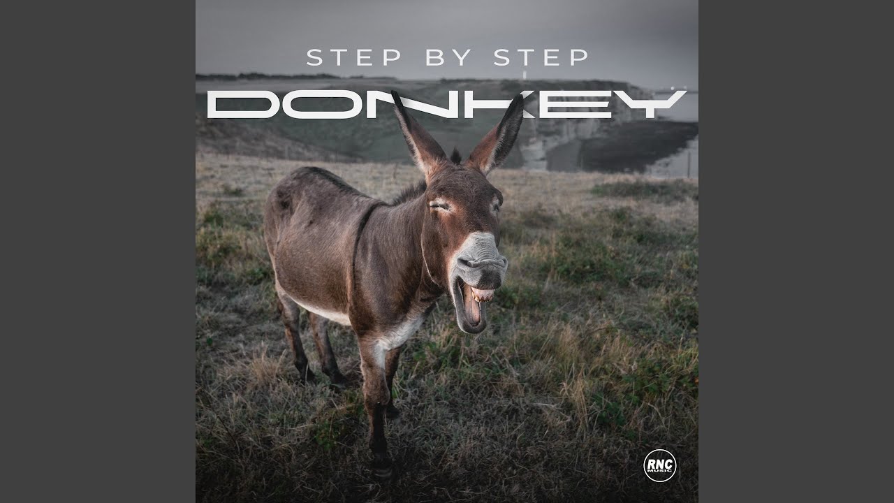 Donkey (Radio Edit) - YouTube