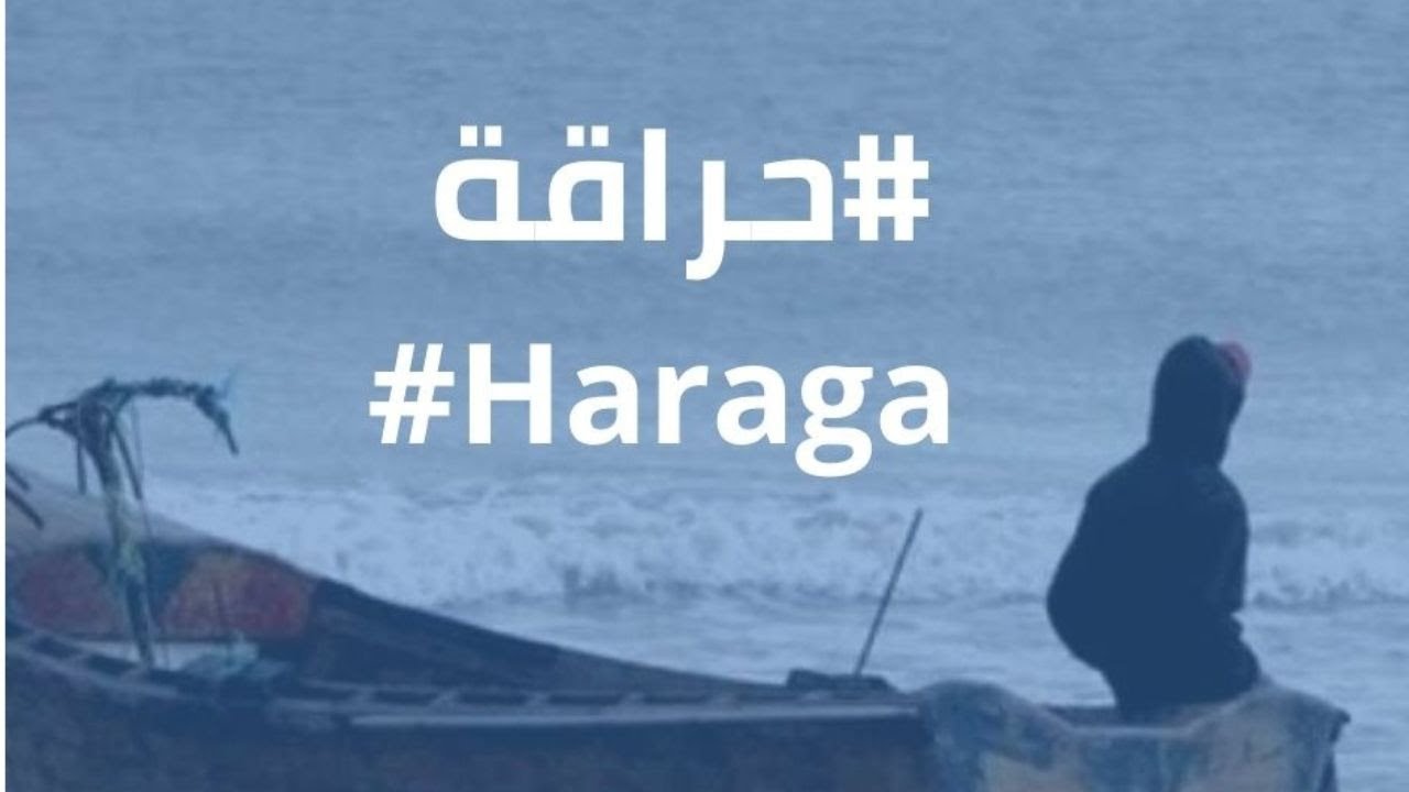 Exclus et résilients: La véritable situation des Haragas algériens ...