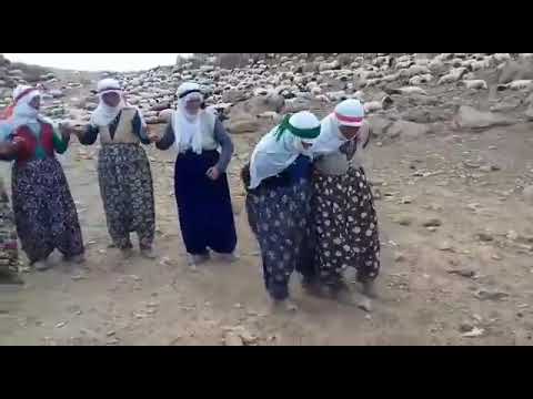 HALAY ÇEKEN NİNELER 2019 KOMİK