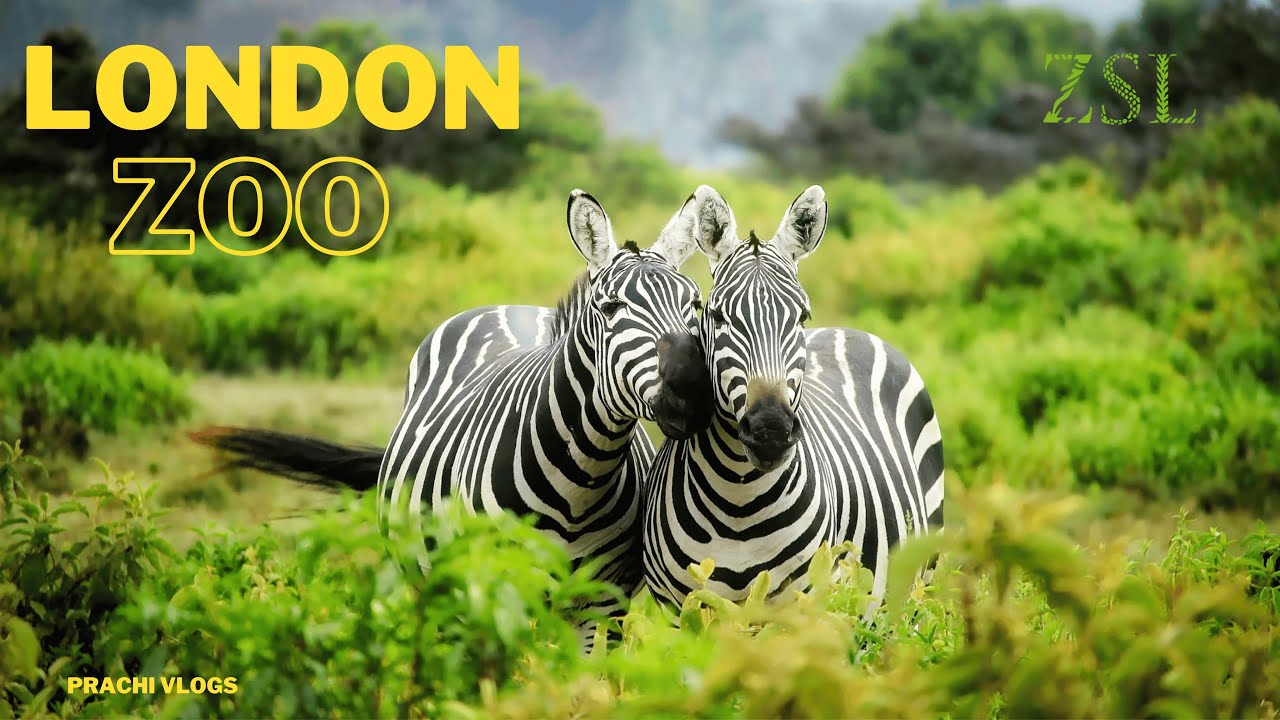 Me at the zoo - ZSL LONDON ZOO TOUR : World's oldest scientific zoo ...