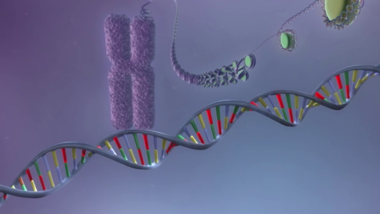 Environmental Biology, Genetics and Evolution - YouTube