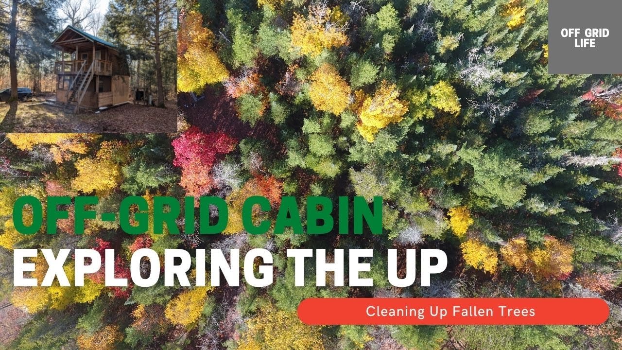 [Log Ox] Cleaning Trees (UP Fall Color) - YouTube