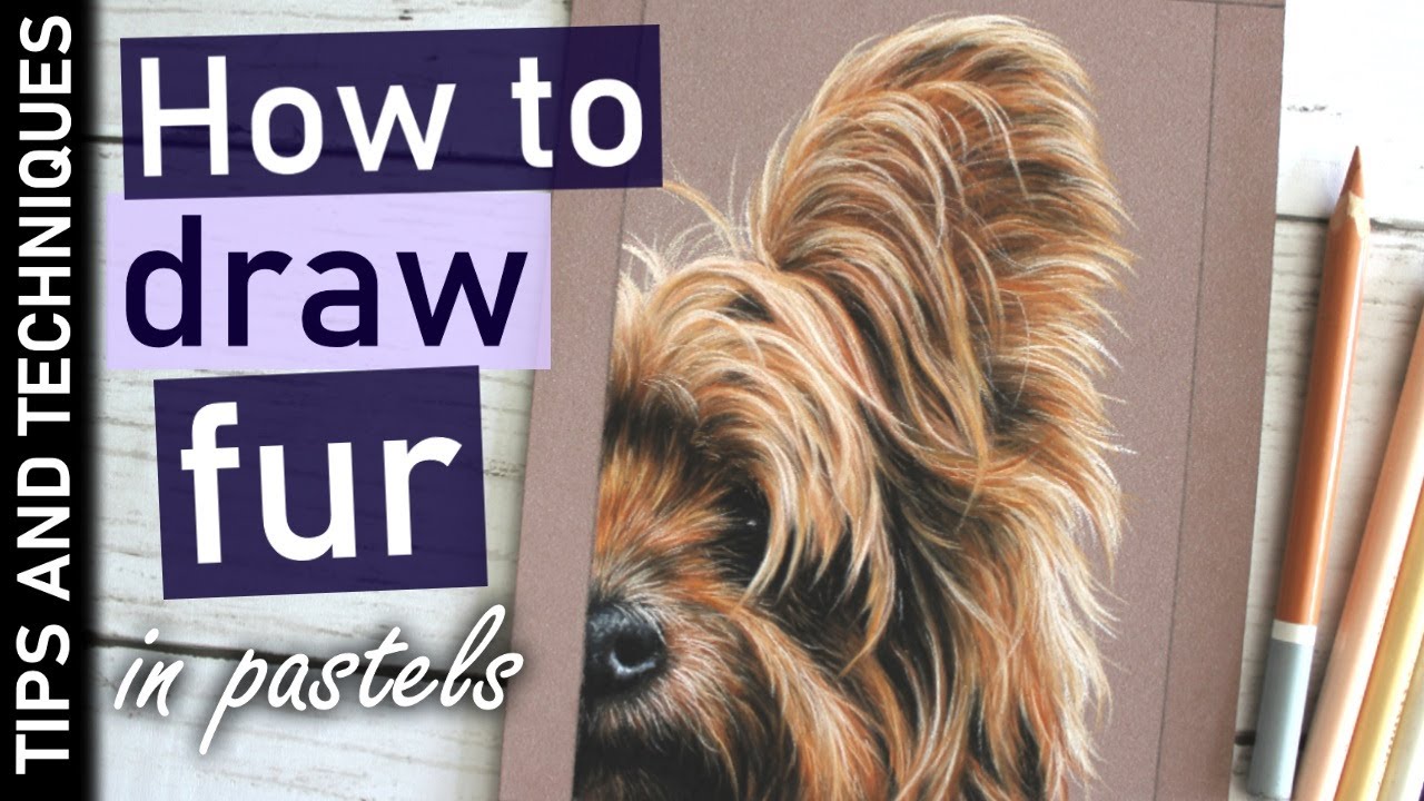 How to draw fur in pastels | Drawing Yorkshire Terrier fur - YouTube