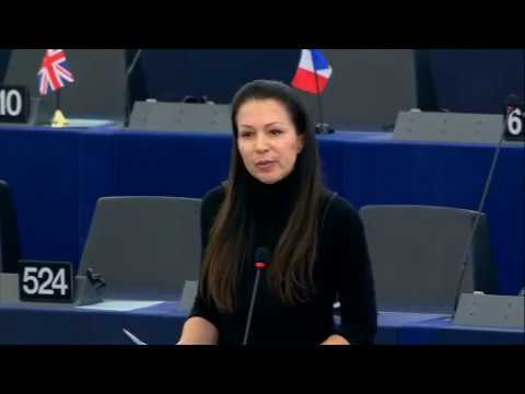 Barbara Kappel - Paradise Papers (EU-Parlament) - YouTube