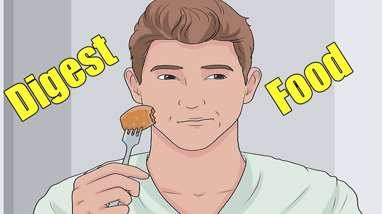 Ways to Digest Food Faster | How to Digest food Easily - YouTube