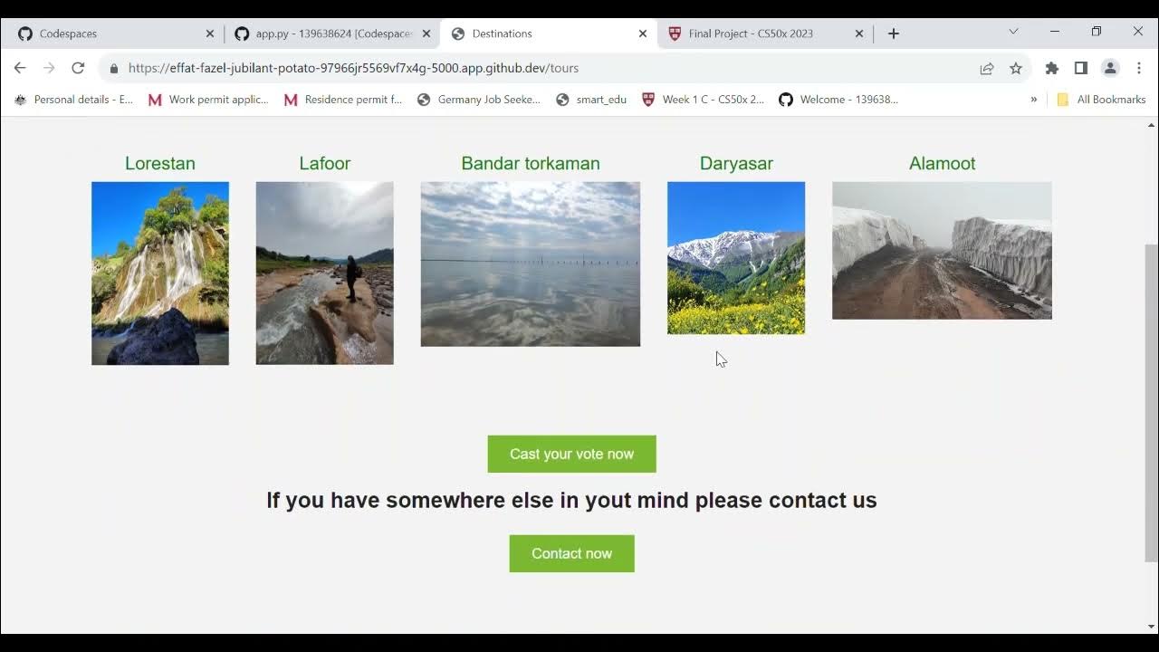 cs50x final project - website - YouTube