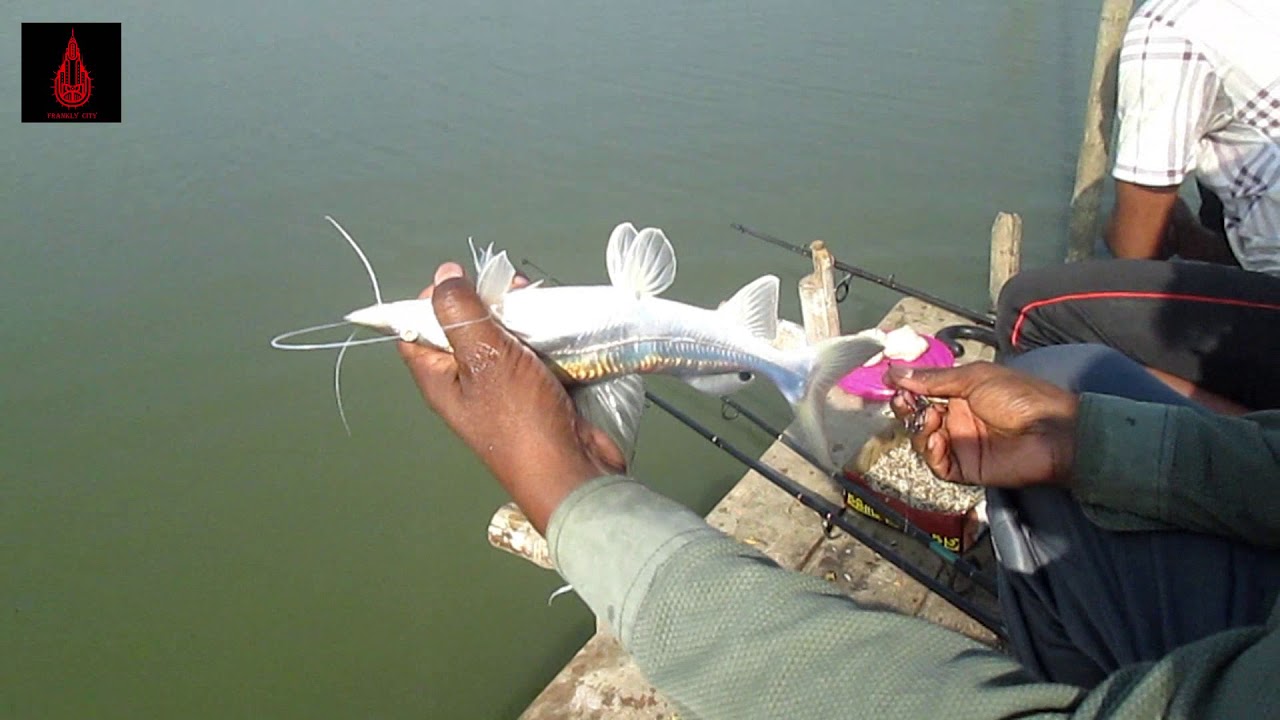 BORSHI DIYA MAS DORA | MAS DORA | FISHING | FRANKLY CITY - YouTube