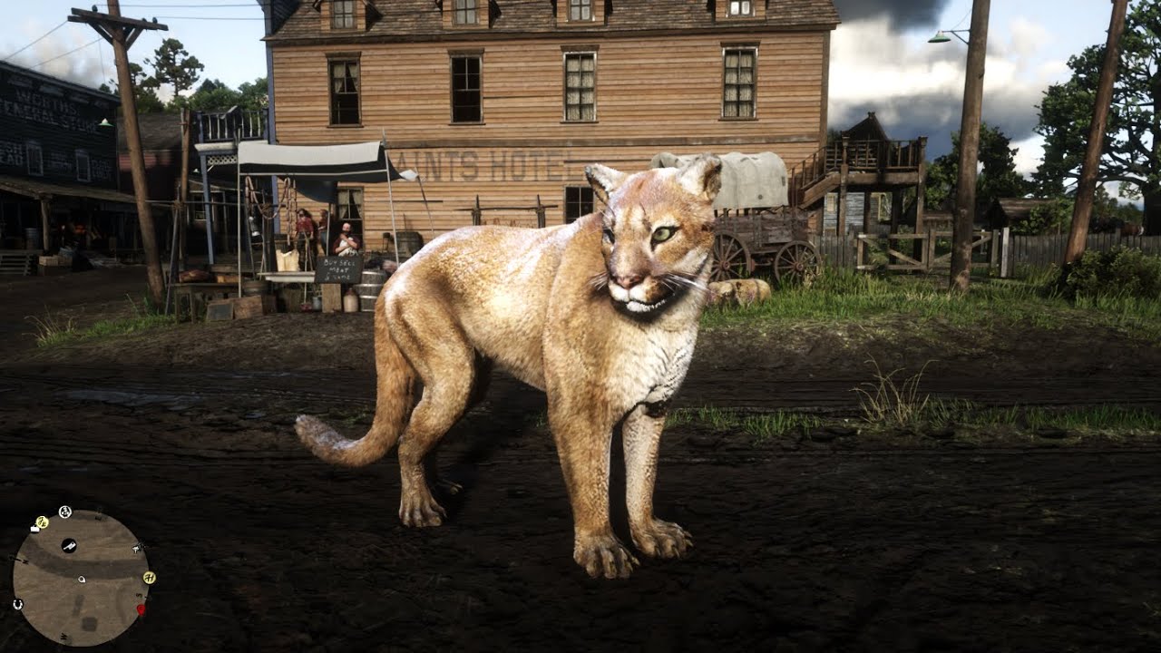 Red Dead Redemption 2 - Giant Cougar Attack !! - YouTube