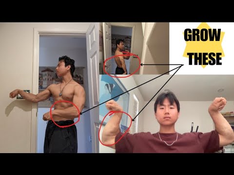 FIX YOUR TINY FOREARMS (WHY NO ONE TRAINS THEM RIGHT + SOLUTION AND ...