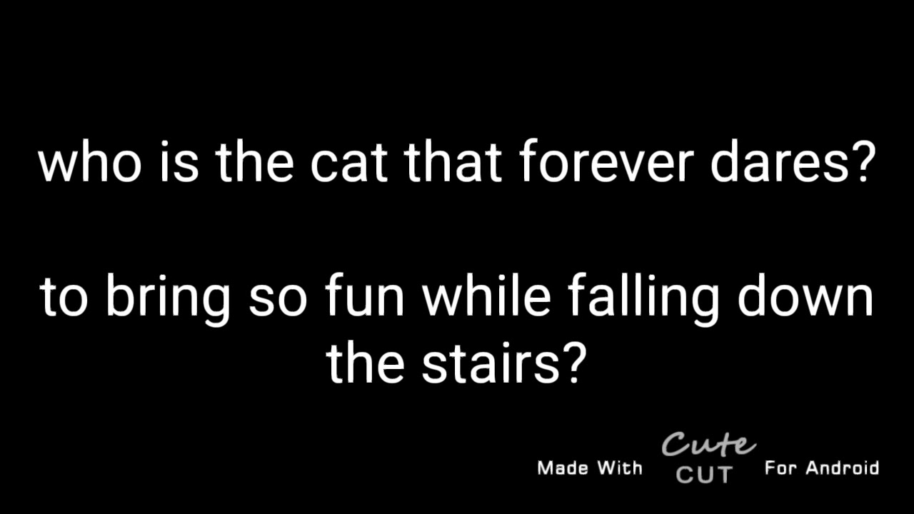 Calling Cat 22 Theme Song (Lyrics) - YouTube