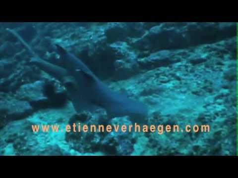 Sex under the Sea / Sexe en Haute Mer