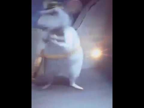 Pet legendi Crtani Film - YouTube