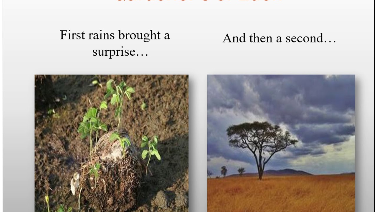 DEBBIE ETHELL POWERPOINT - YouTube