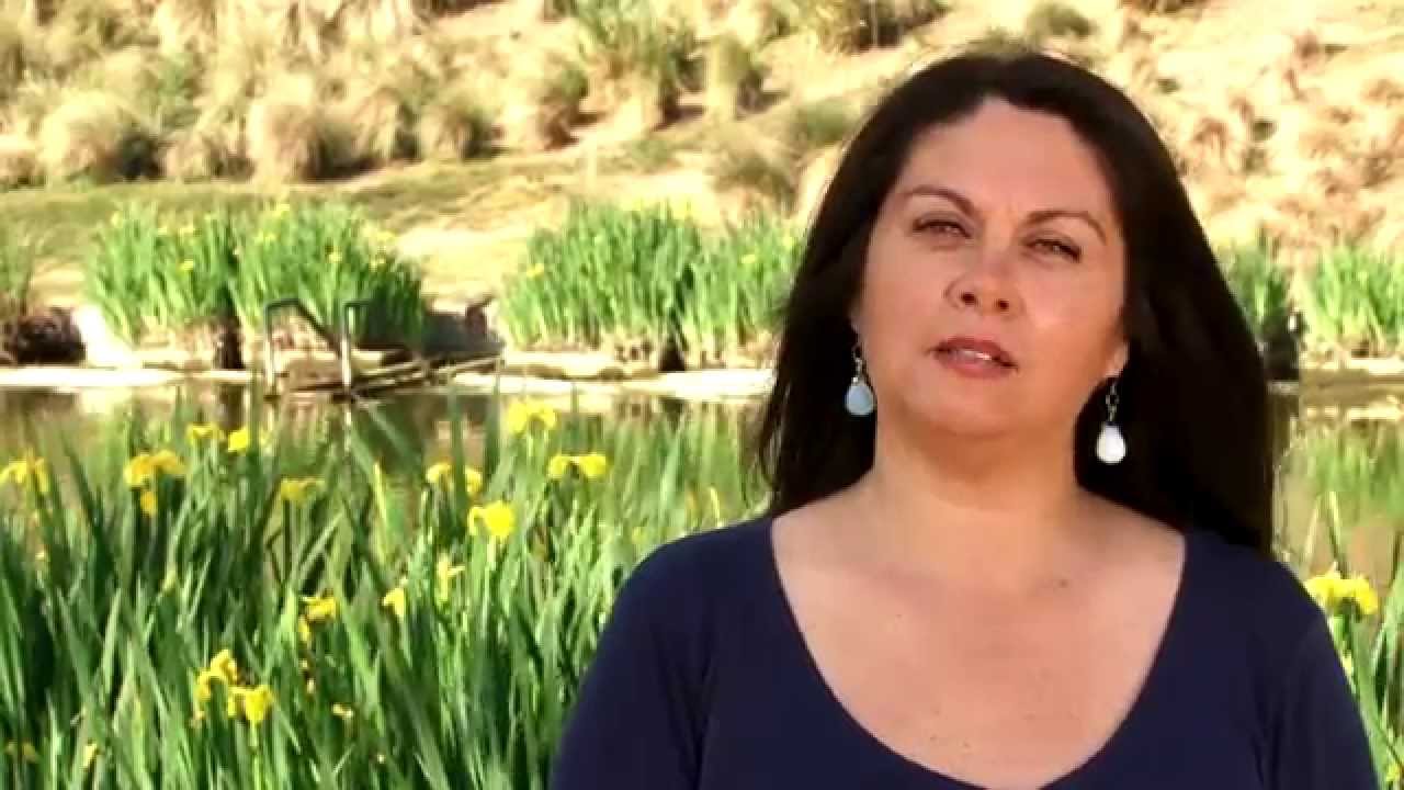 NIÑOS INDIGO CHILE INTRODUCCION - YouTube