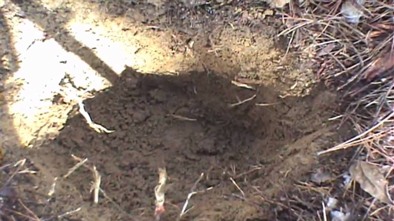 Building a Dakota Fire Hole, Part I - YouTube