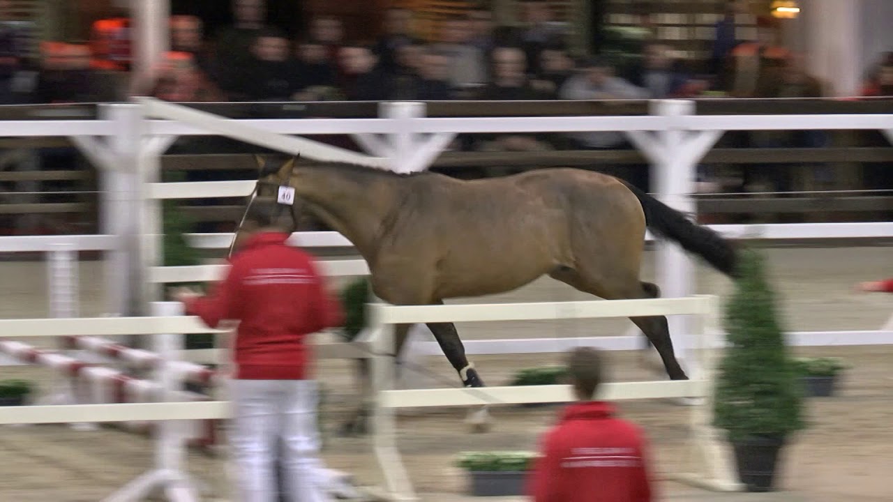 040 RUBY DC - YouTube