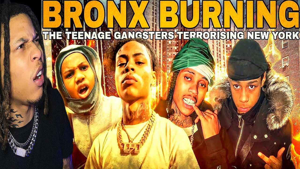 bronx gangs more dangerous than we thought!!! - YouTube