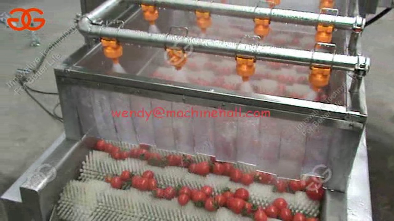 Multifunction Air Bubble fruit vegetable Washing Machine|Tomato washing ...