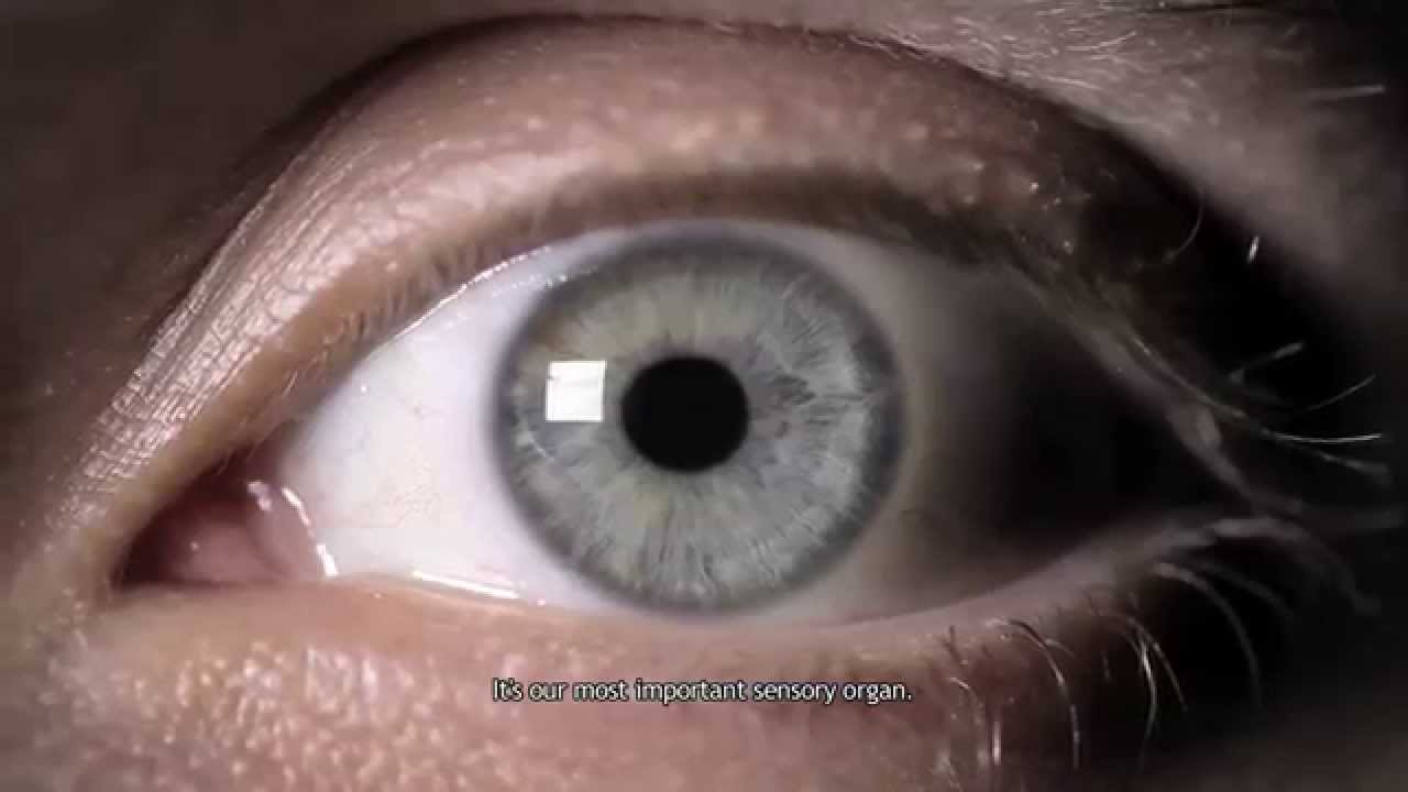 DeepSight by biolnic (English V2 hearing-impaired) - YouTube