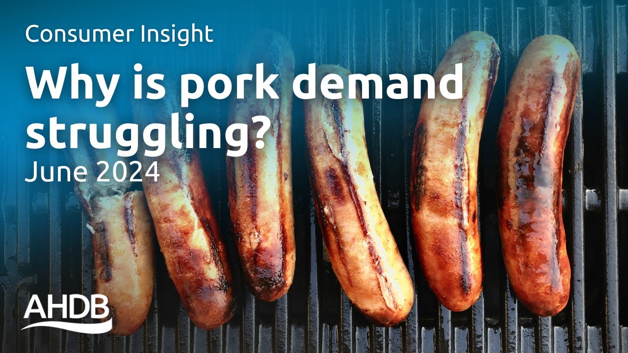 Why is pork demand struggling? June 2024 | AHDB - YouTube