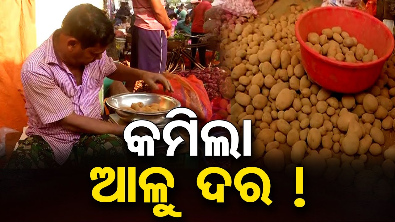 କମିଲା ଆଳୁ ଦର ! || Cuttack Vegetable Market || Potato Price || Odisha ...