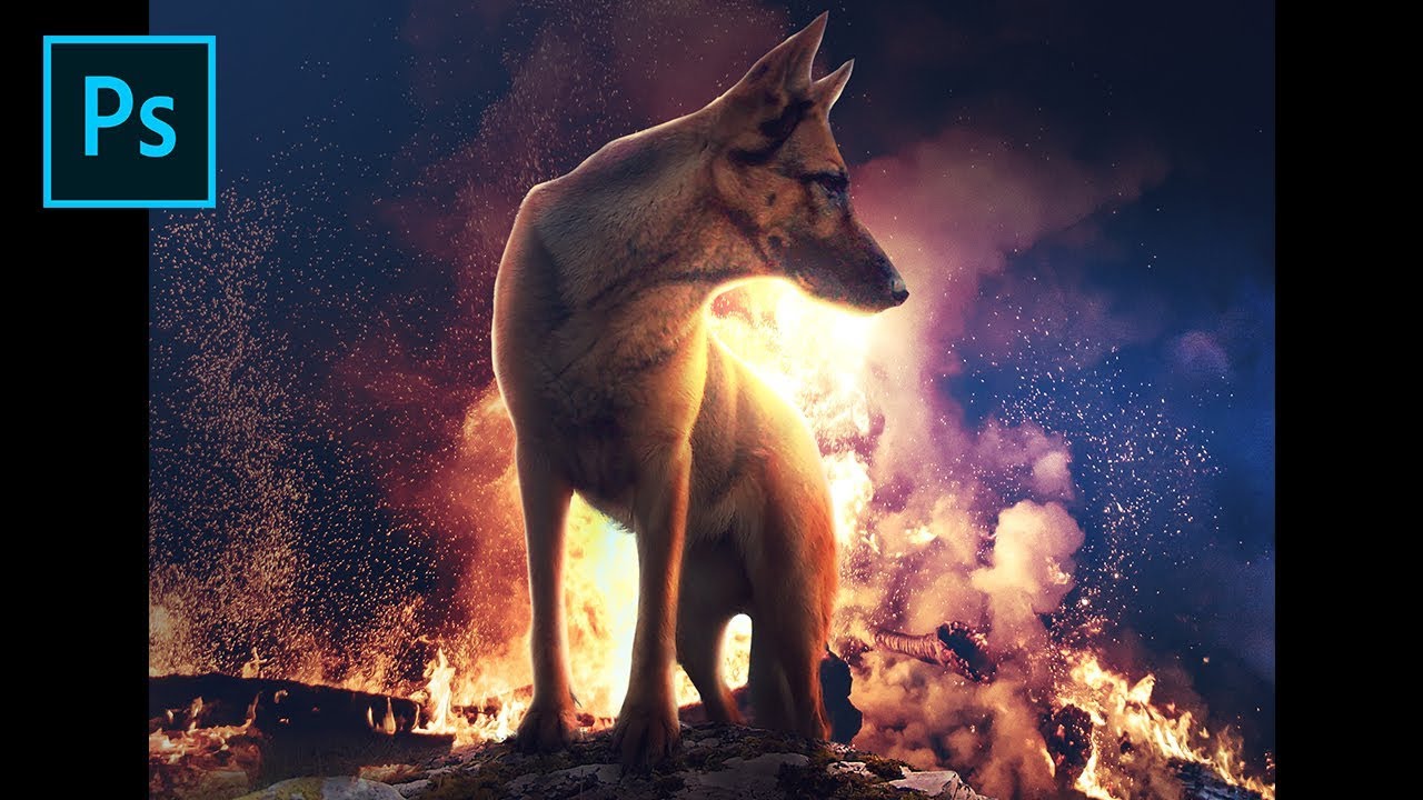 Fire Dog - Photo Manipulation Effects in Photoshop - Photoshop Trend