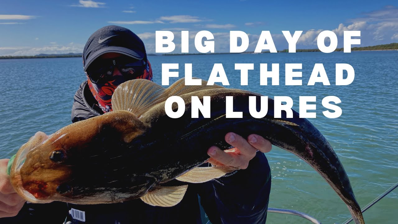 BIG DAY OUT: Flathead fun on lures, with Mick & Paul. 30+ fish on ...