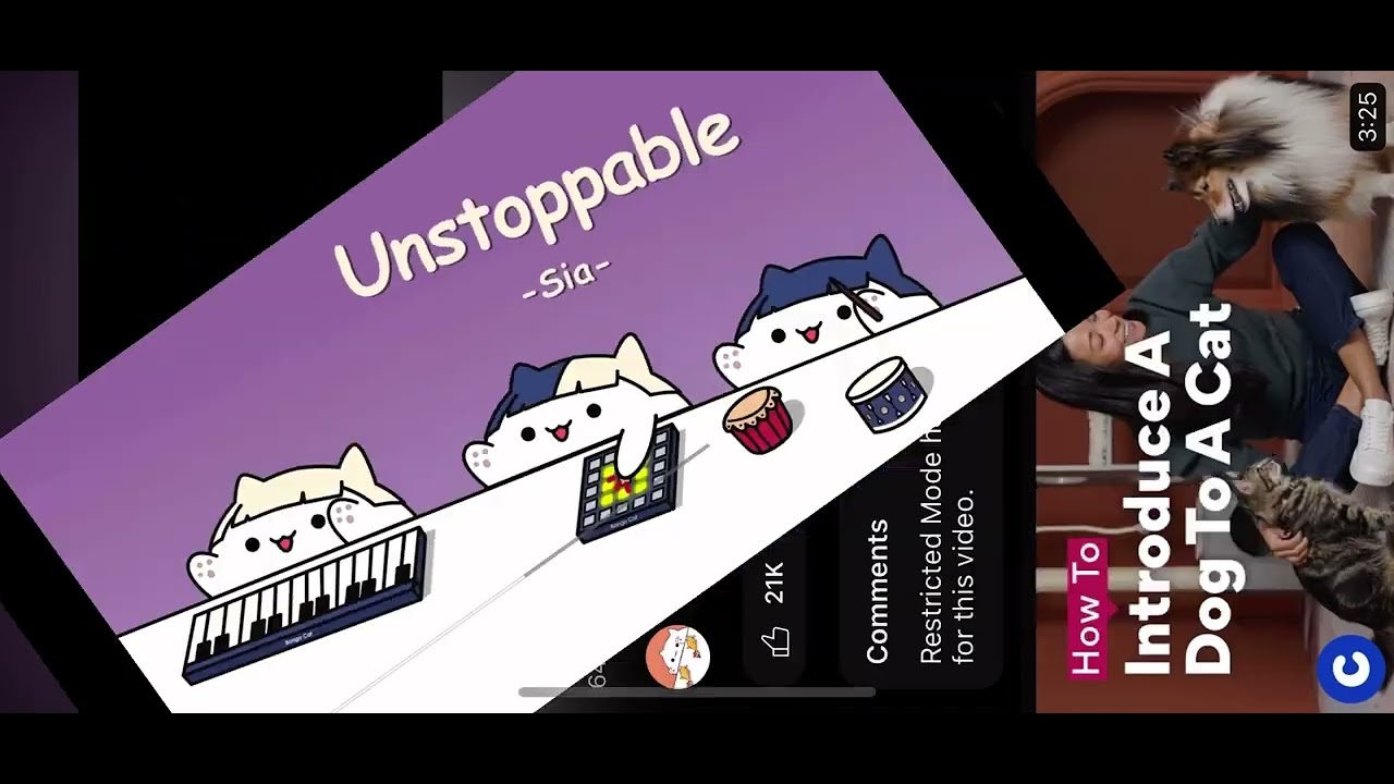 bongo cat unstoppable - YouTube