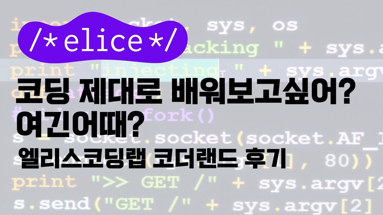 초등 코딩 제대로 배우고 싶어 정보올림피아드 스크래치 파이썬 C 모든게 가능한 곳 엘리스코딩 Youtube