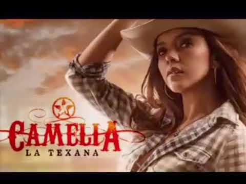 Los tigueres del norte -Camelia la texana 1-2-3