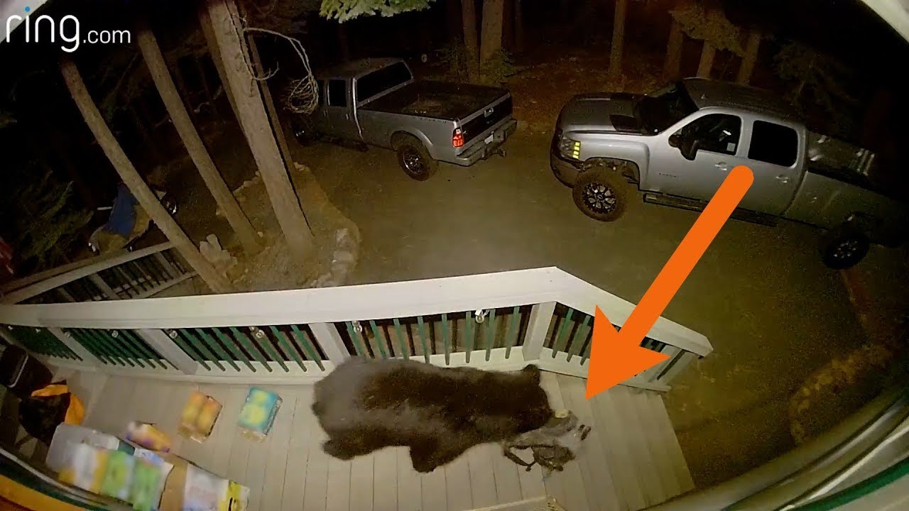 Mystery of The Missing Backpack Solved!｜RingTV - YouTube