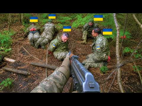 Ожесточённый бой в лесу завершился пленением шестерых украинских военнослужащих