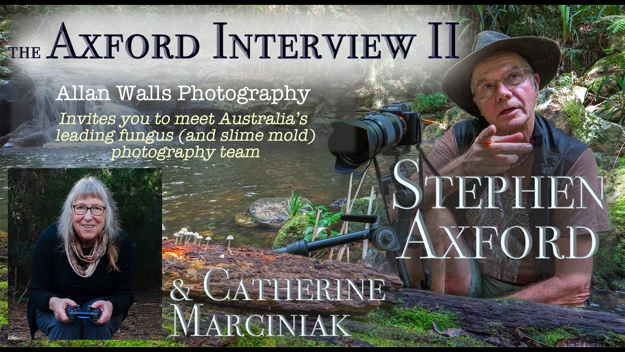 Photographing Fungi in Paradise - Part 2 of the Steven Axford Interview ...