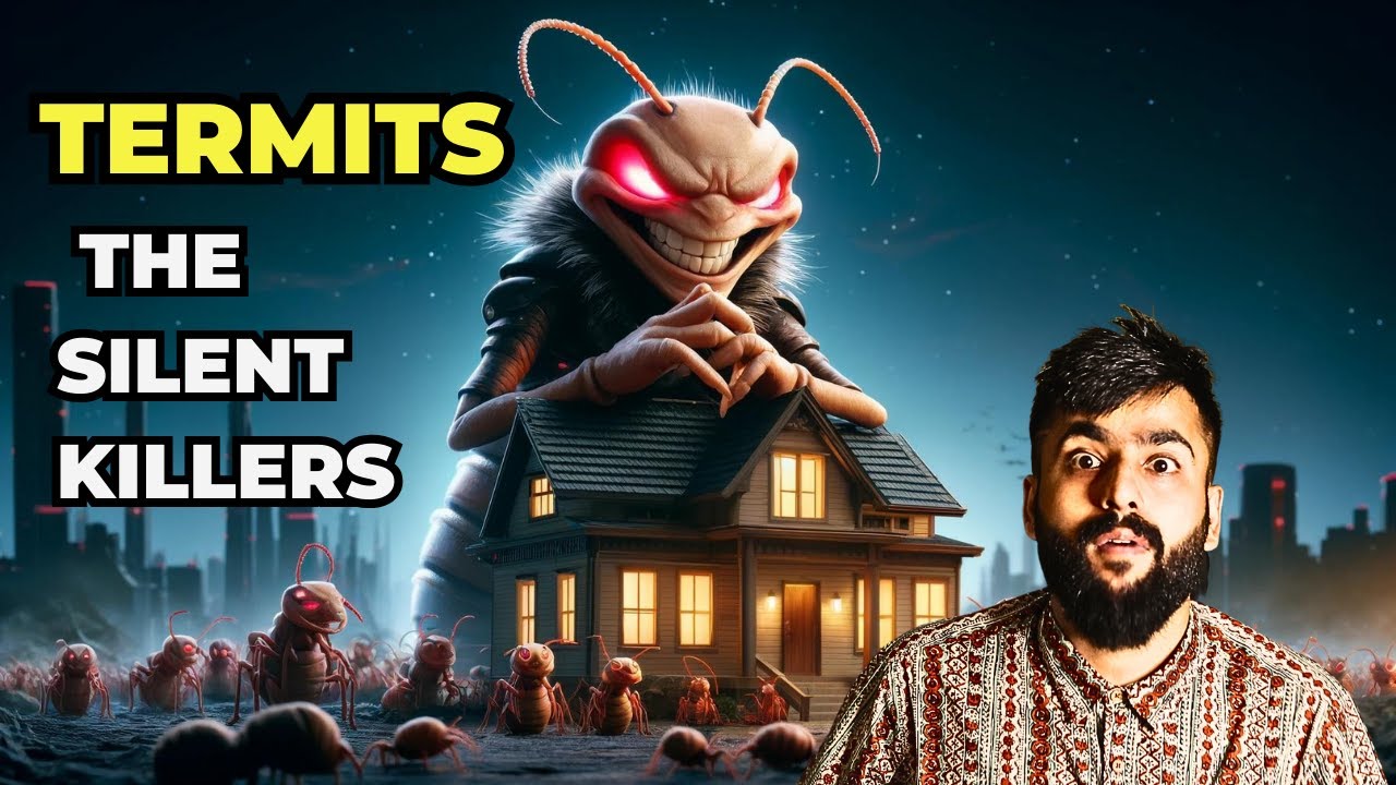 Termites Vs Your Home | Full Detail Video 😳 - YouTube