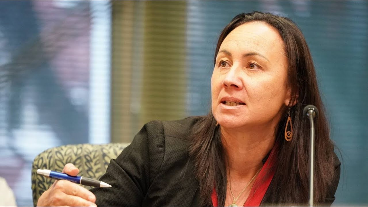Invercargill deputy mayor Toni Biddle stands down from council - YouTube