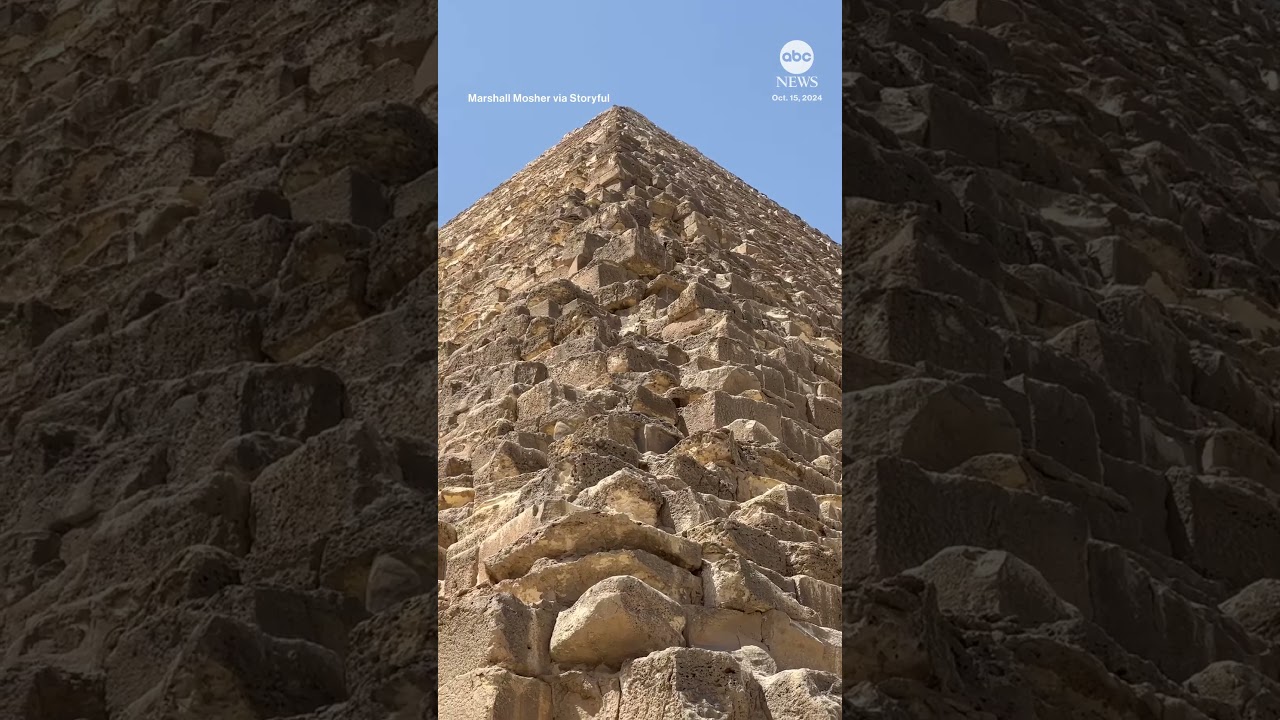 Meet Apollo, the Egyptian dog filmed atop a pyramid who charmed internet