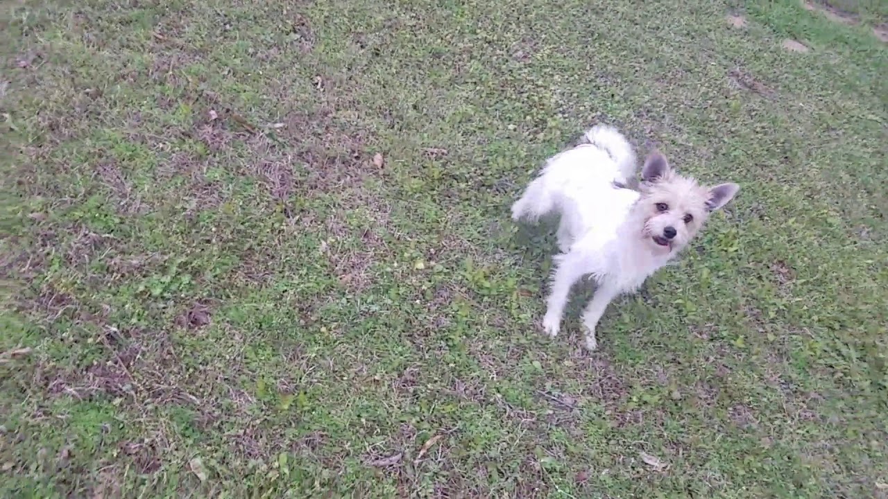 The very definition of the Casa del Whackos - YouTube